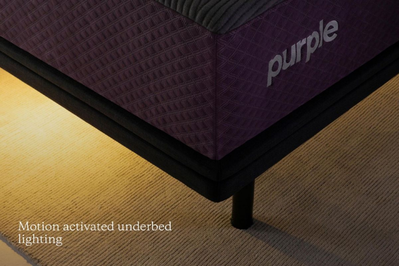 Purple Premium Plus Twin XL Smart Base