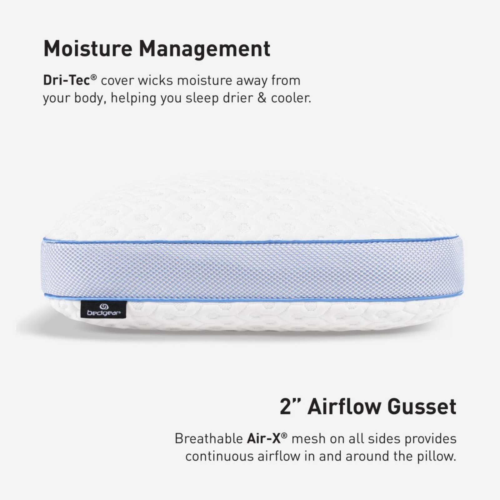 Level 1.0 Pillow