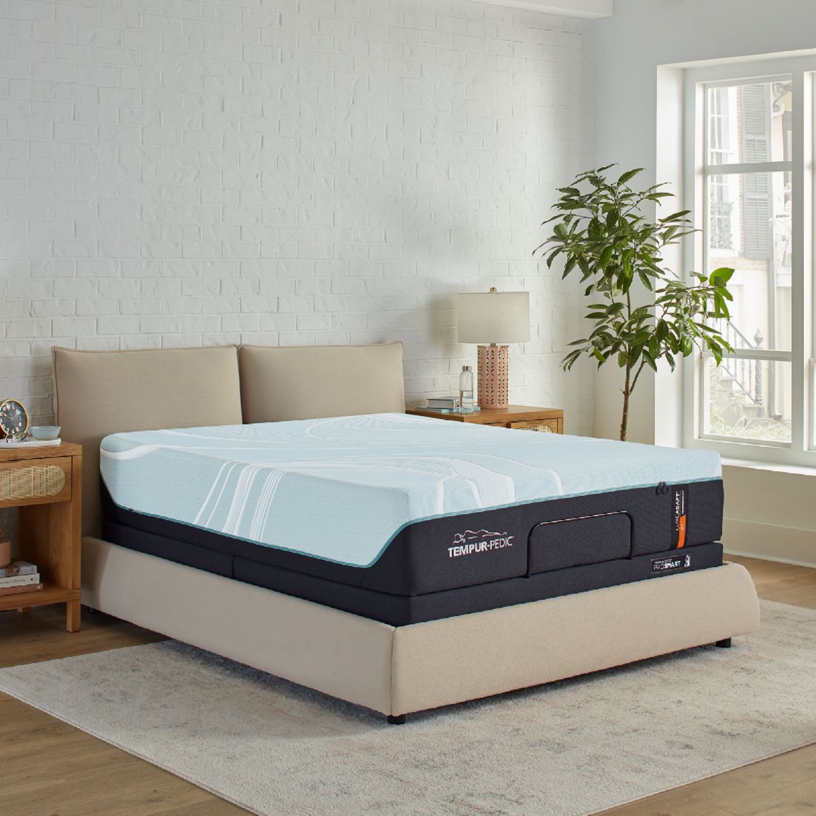 Mattress Firm Twin Xl