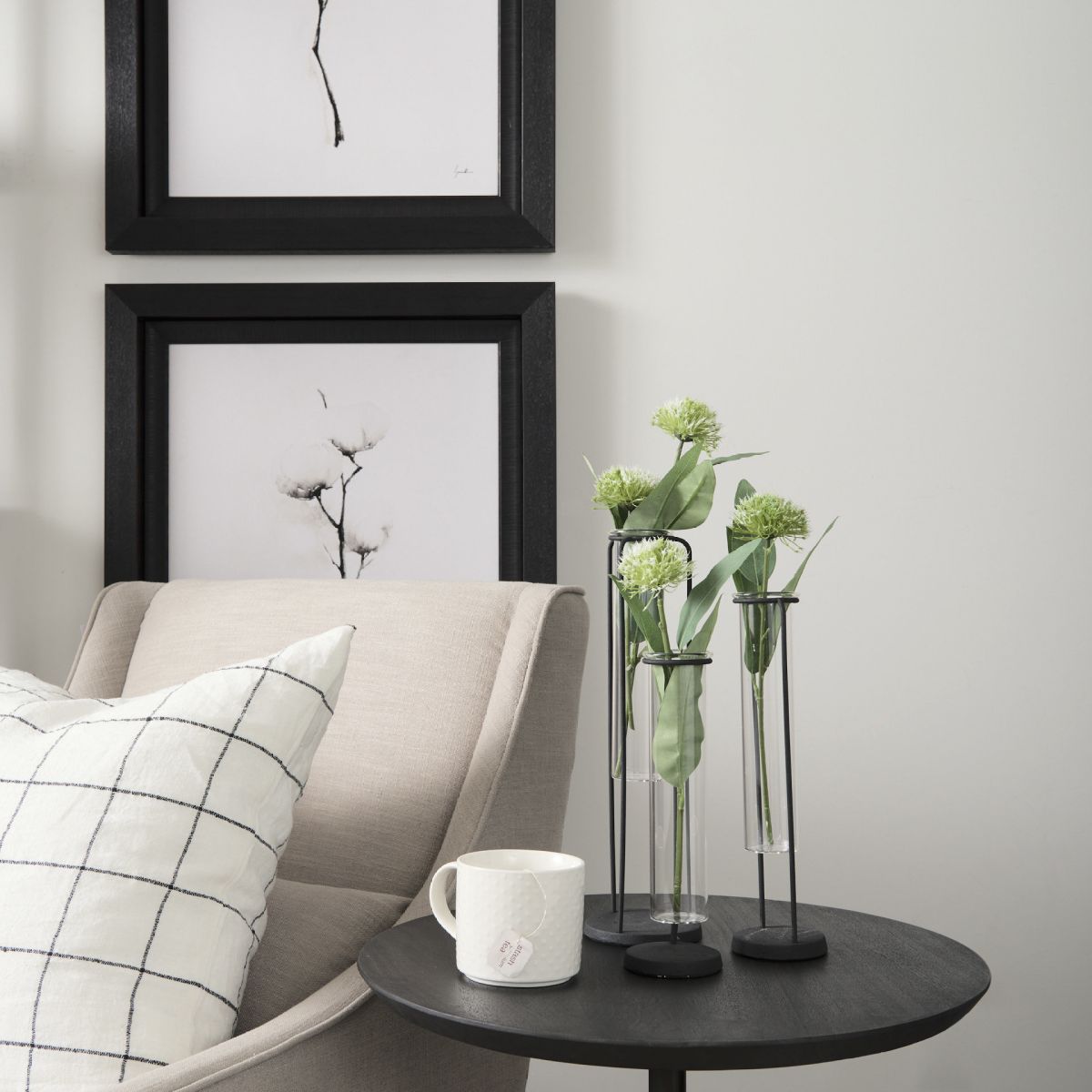 Beeker Test Tube Set